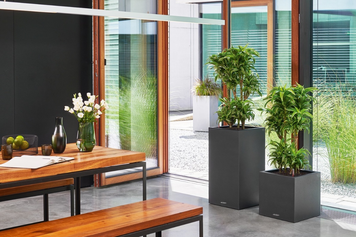 Lechuza pots. Perfect for a home on a terrace or balcony. | ALL4HOME ...