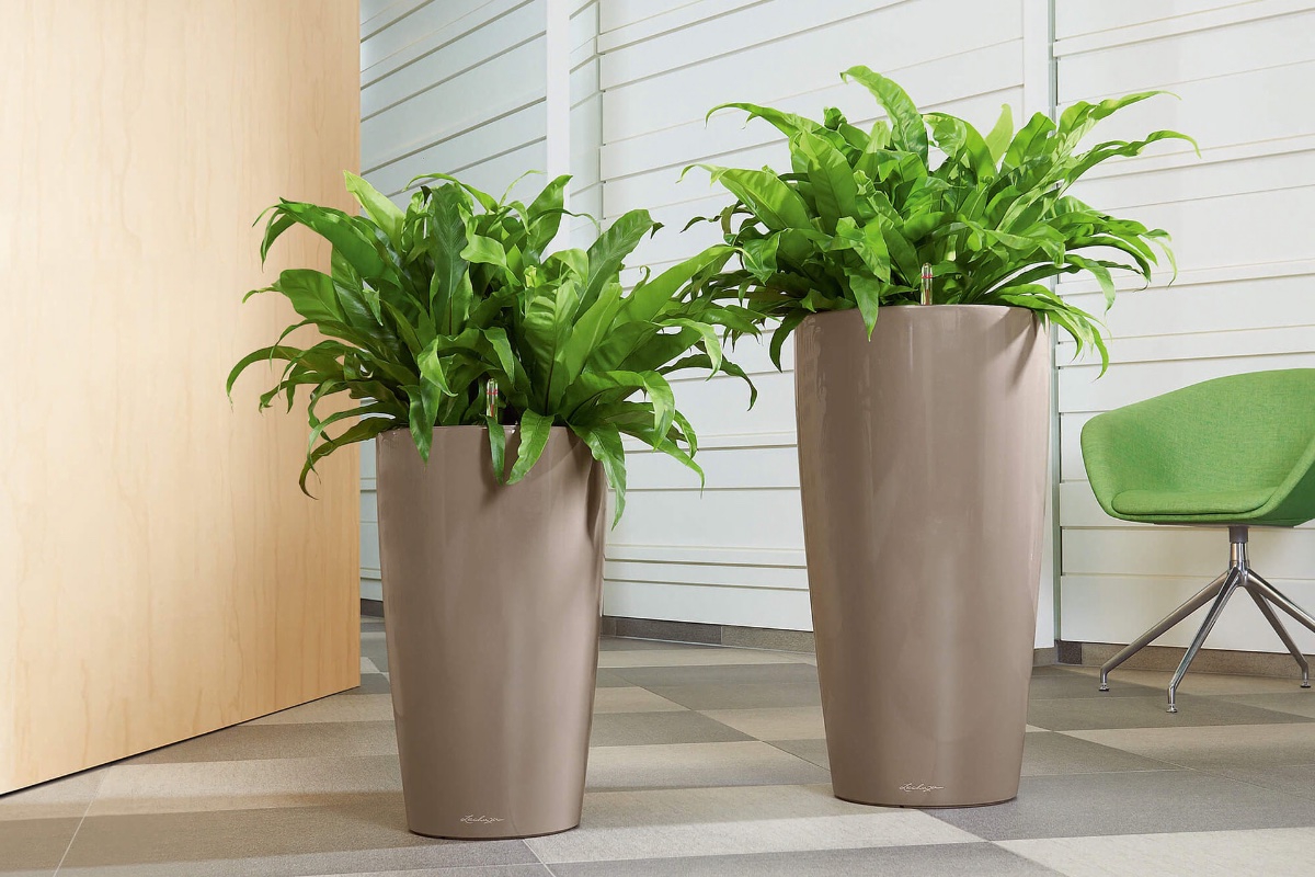 Lechuza pots. Perfect for a home on a terrace or balcony. | ALL4HOME ...